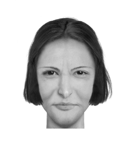 Portraits-robots de personnages de romans, via un logiciel de police ...